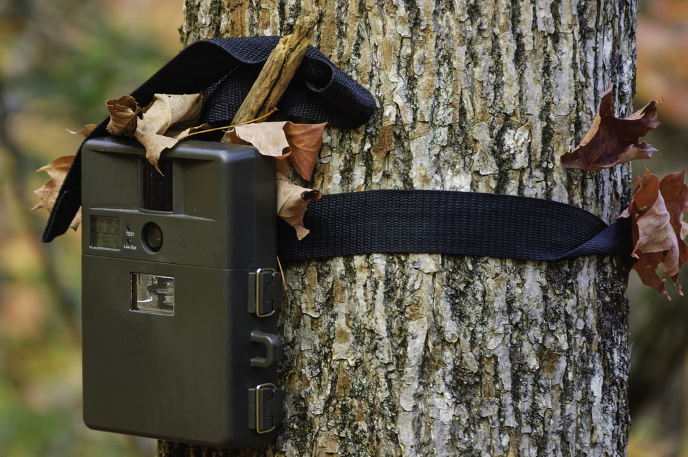 Getting the Most Out of Scouting Cameras